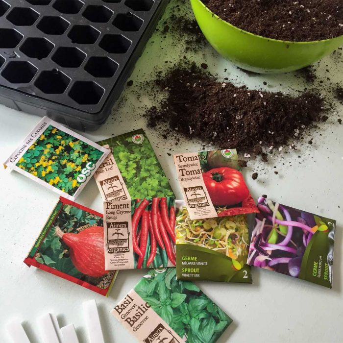 Month-by-month vegetable seed planting calendar