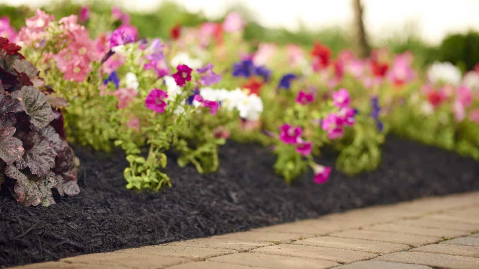 How to Make Low-Maintenance Flower Beds?
