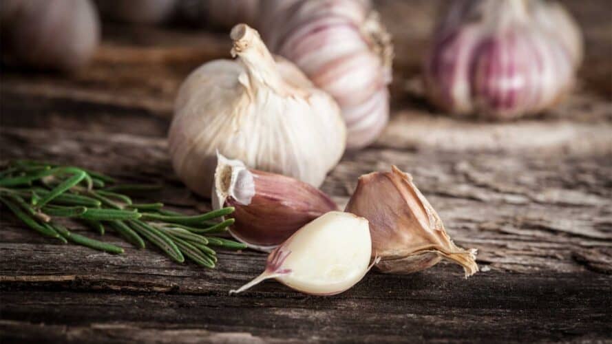 How and When to Plant and Harvest Garlic: A Complete Growing Guide