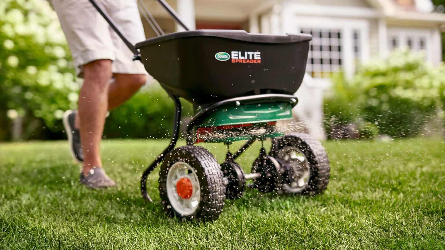 Seeding and reseeding grass : the secret to a perfect lawn