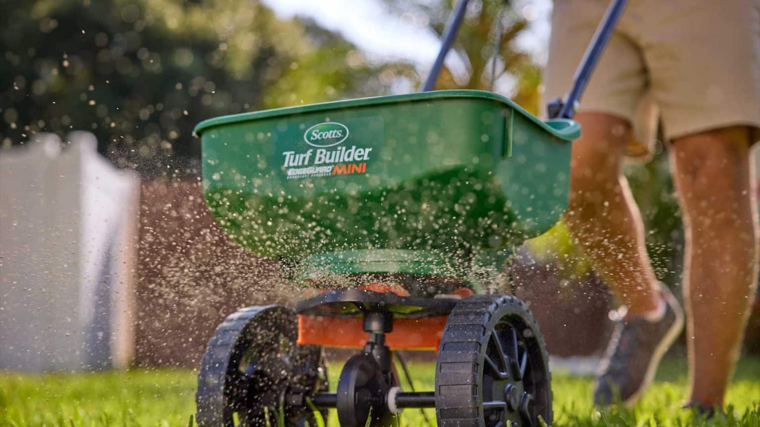 Seeding and reseeding grass : the secret to a perfect lawn